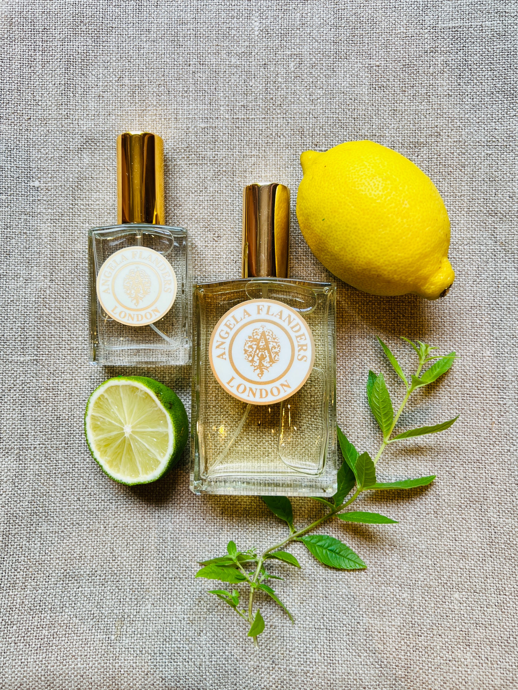 Angela Flanders Perfumery for Niche Perfumes & Scented Candles
